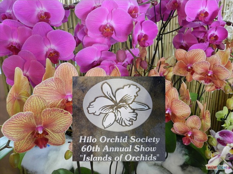 Hawaii Island Orchid Slide Show